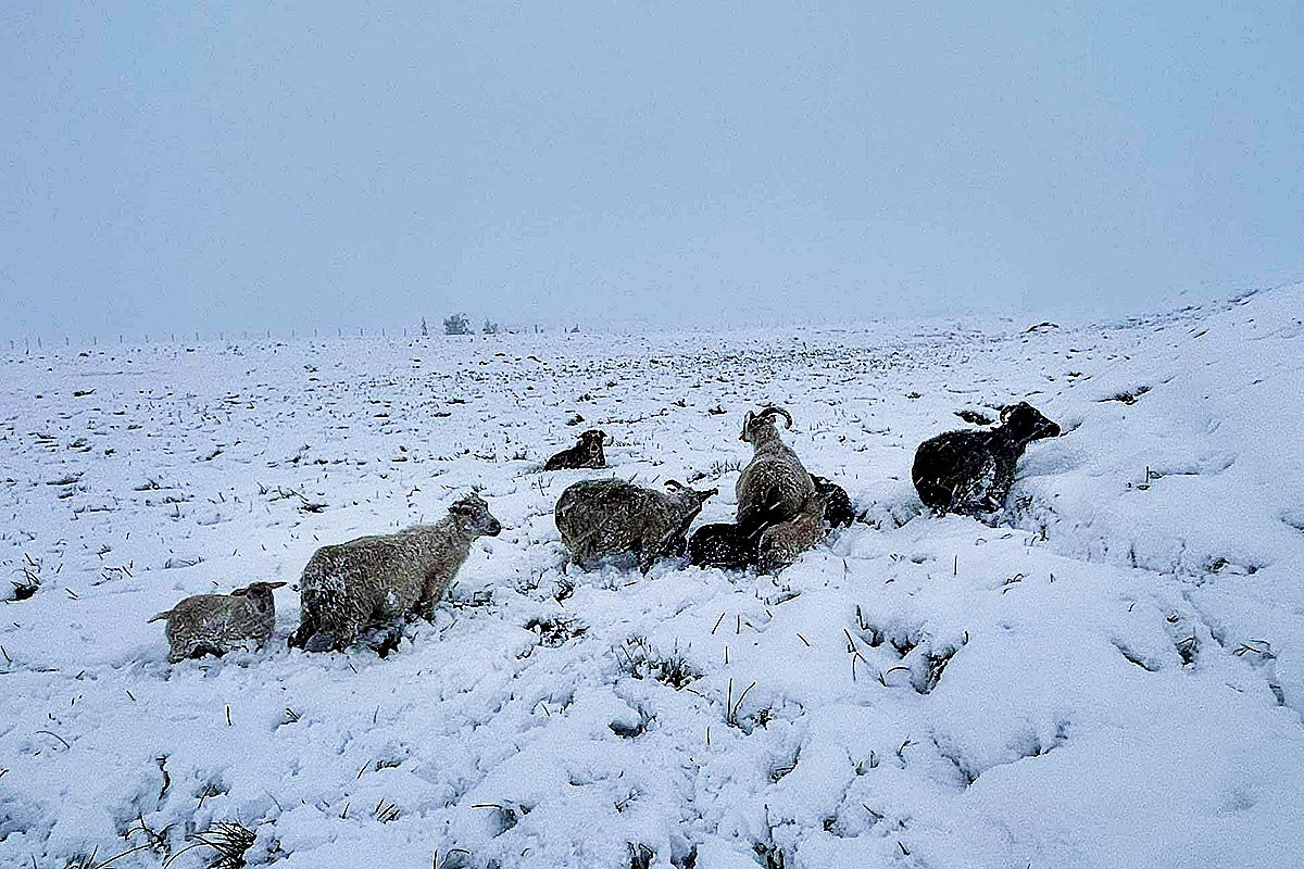 Aðstæður í Fljótum farnar að líkjast ástandinu í fyrra | Feykir.is