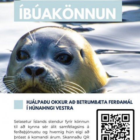 Lummur, lummur og fleiri lummur | Feykir.is